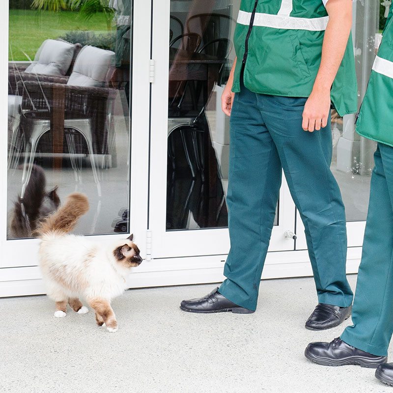 Security Systems | Security Service NZ | Matrix Security