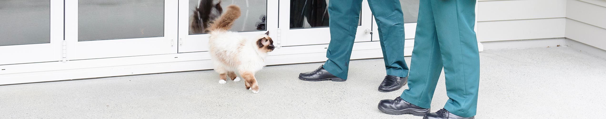 Security NZ | Matrix Security